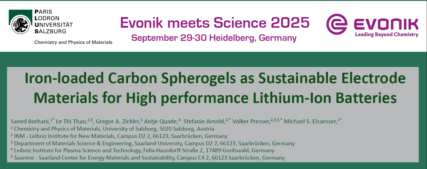 Saeed Borhani presents collaborative work at the Evonik meets Science ...